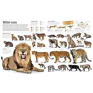 Picturepedia, Second Edition: An Encyclopedia on Every Page