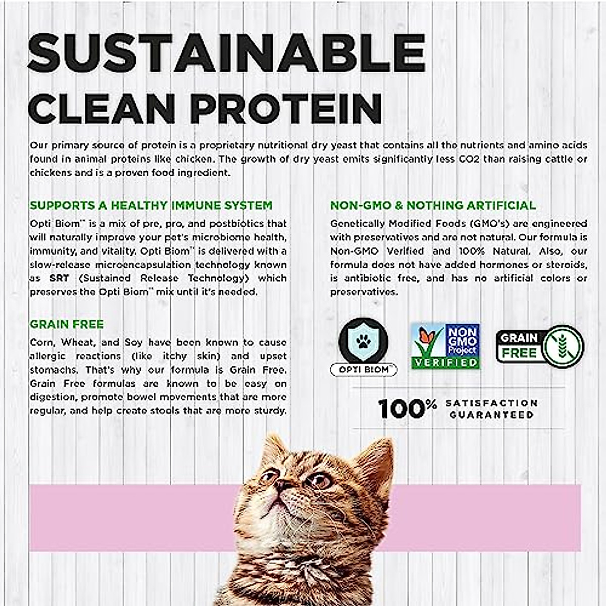 Nature's HUG Nutrients for Growth Kitten Dry Cat Food for Sensitive Stomachs, 4 lbs., Grain Free and Non-GMO, Hypoallergenic, Sustainable Clean Protein with Probiotics, Ages 2-12 Months