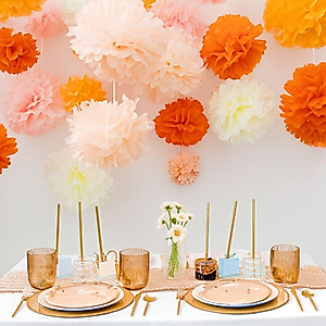 PapaKit Party Tissue Pom Pom Paper Flower Set, for Birthday Party Baby Shower Wedding Engagement Bachelorette Event Decoration ( Bright Orange Bloom, 20 Piece Set)