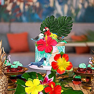 JeVenis Parrot Birthday Cake Decoration Tropical Bird Cupcake Decoration Parrot Party Supplies Tropical Bird Cake Decoration Parrot Birthday Party Decoration