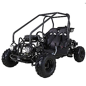 HHH Gokart GK125 is a125CC Gokart Fully Automatic Gas 2 Seater Kandi Mini Raptor gokart with Reverse for Youth (Blue)