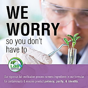 Solaray PhytoEstrogen Plus EFAs Menopause Support | Wild Yam, Black Cohosh, Evening Primrose & Borage | 60ct, 30 Serv.