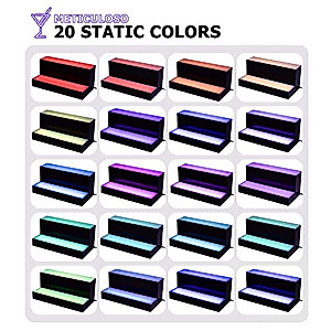 LED Lighted Liquor Bottle Display Shelf 24 inch 2 Step with LED Coaster for Home Commercial Bar, Acrylic Illuminated Bar Shelf with Remote,20 Static Colors, 22 Dynamic Modes (2 Step 24 inch)