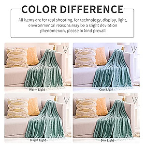 RECYCO Throw Blanket Soft Cozy Chenille Throw Blanket with Fringe Tassel for Couch Sofa Chair Bed Living Room Gift (Sage, 50'' x 60'')