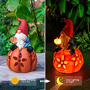 WONDHOME Solar Gnome Statues Spring Decor Pumpkin Gnomes with LED Lights Christams Gardening Gifts for Women Mom, Yard Art Sculpture for Patio Yard Lawn, Pumpkin Gnome