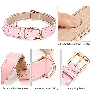WHIPPY Leather Dog Collar for Small Medium Large Dog Adjustable Soft Breathable Leather Padded Puppy Collar with Alloy Buckle Heavy Duty Waterproof Classic Dog Pet Collar,Pink,M