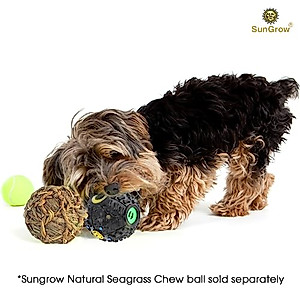 SunGrow Bunny Treat Dispenser Toy, Stop Chewing Furniture & Carpet, Mealworm for Mini Pig, Rabbit, Piglet & Chicken, Food Puzzle Ball Gentle Chewer, Small Dog