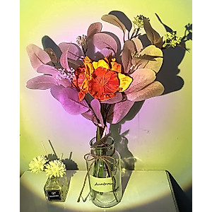 Auntroen Fake Flower Poppy Flower Leaf Combination Real Touch Latex Silk Fabric Artificial Flower, Kitchen Home Garden Party Wedding Decoration (Sunset+Pink) (B502)