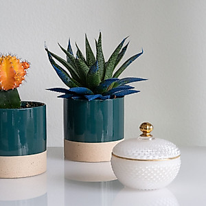 BRIGANTI Scented Candle in White Glass Jar (Vanilla Cupcake) Vanilla Bean, Buttercream, Cake, and Bourbon | Elegant Candle for Home Aromatherapy, All Natural Soy Wax 4oz