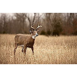Flambeau Outdoors 5965MS Boss Buck - Masters Series Deer Decoy