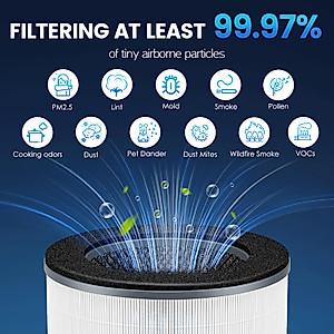 AP-T10FL filte replacement for Homedics Compatible with HoMedics TotalClean Air Puri-fier AP-T10-BK and AP-T10-WT, H13 True HEPA AP-T10 5-In-1 Powerful System, 2 Pack