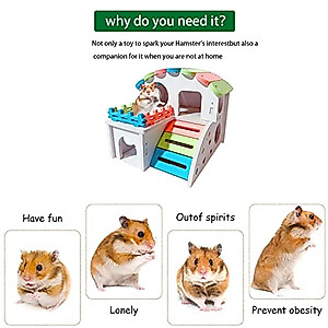YUEKUA 4 Pieces of Hamster Toy Accessories DIY Gerbil Hiding House, Rainbow Bridge Swing, Hamster Seesaw Toy, Small Animal Fitness chew Toys