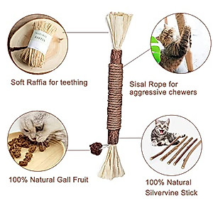 DuLaSeed Cat Toys, 2 Pack Natural Silvervine Sticks Chew Toys for Kittens Teeth Cleaning,Catnip Toys for Indoor Cats Interactive, Edible Kitty Toys for Cats Dental Care