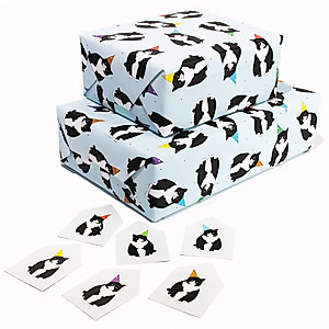 CENTRAL 23 - Blue Wrapping Paper - Cats in Hats - 6 Sheets of Birthday Gift Wrap - For Men Boys Kids - Valentines Day Gift Wrap for Women Her Girls - Recyclable - Comes with Stickers
