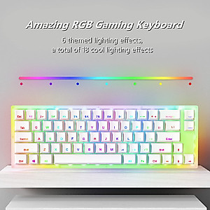 Womier K66 60% Percent Mechanical Keyboard, Hot Swappable Wired RGB Backlit Keyboard, Gateron Switch Acrylic Gaming Keyboard for PC PS4 Xbox, Red Switches