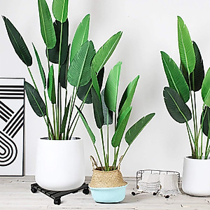 CERBIOR Plant Caddy Heavy Duty Plant Pot with 5 Rolling Wheels Indoor/Outdoor Holds up to 14 Inches and 150 Lbs Strong and Sturdy Design (14 Inch Square, Charcoal)