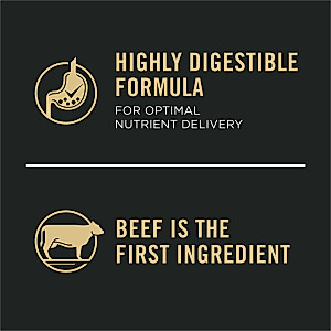 Purina Pro Plan High Protein Large Breed Puppy Food With Probiotics, Beef and Rice Formula - 18 lb. Bag