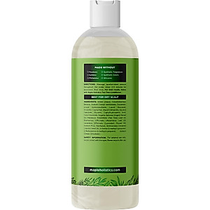 Clarifying Shampoo for Build Up & Oily Hair - Tea Tree Shampoo for Men and Women with Rosemary Essential Oil for Oily Hair and Scalp - Color Safe Vegan Sulfate Silicone & Paraben Free (8 Fl Oz)