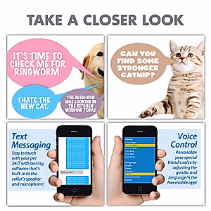 Prank-O, Pet Talk Prank Gift Box, Wrap Your Real Present in a Funny Authentic Prank-O Gag Present Box, Novelty Gifting Box for Pranksters, Perect Birthday Gag Gift Box