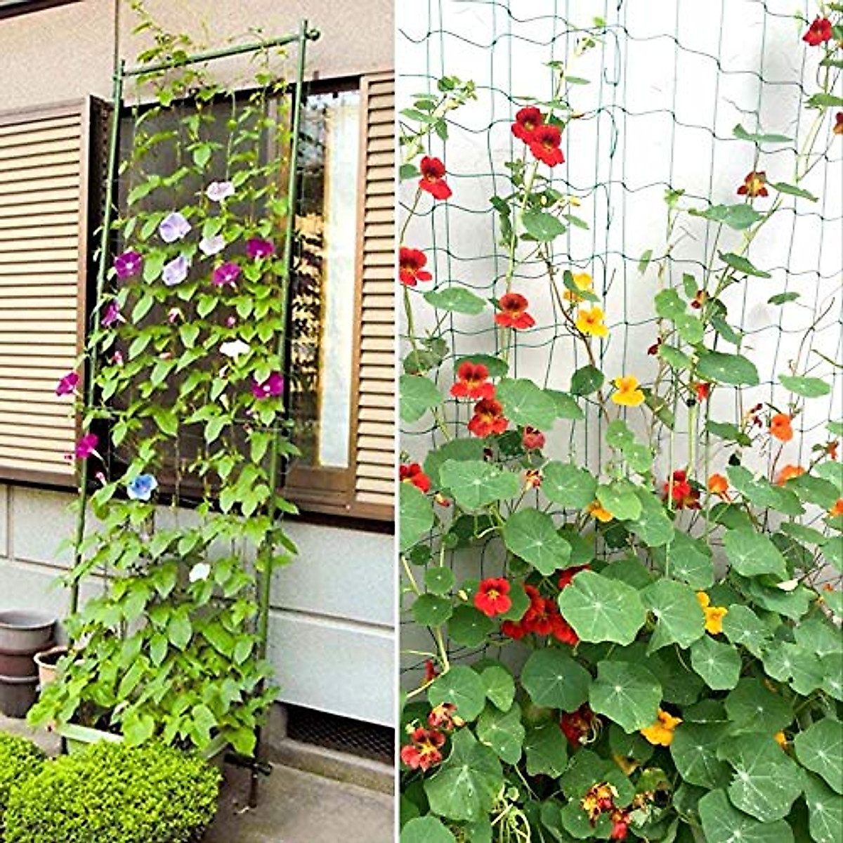 Zivisk 2Pcs Cucumber Tomato Trellis Netting, Heavy Duty Garden Netting for Climbing Plants Support, Pea, Grape, Bean, Fruit, Vegetables - 4" Mesh Size, 3Ft x 6Ft