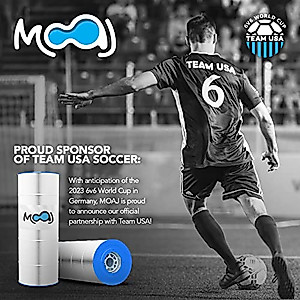 MOAJ Advanced Pool Filter 4-Pack Replaces Jandy CL580, CV580, R0357900, A0104100, PJAN145, PJAN145-PAK4, Filbur FC-0820, Unicel C-7482, 17-175-3610 | 33" x 7" | 145 SQ FT | Washable | Based in USA