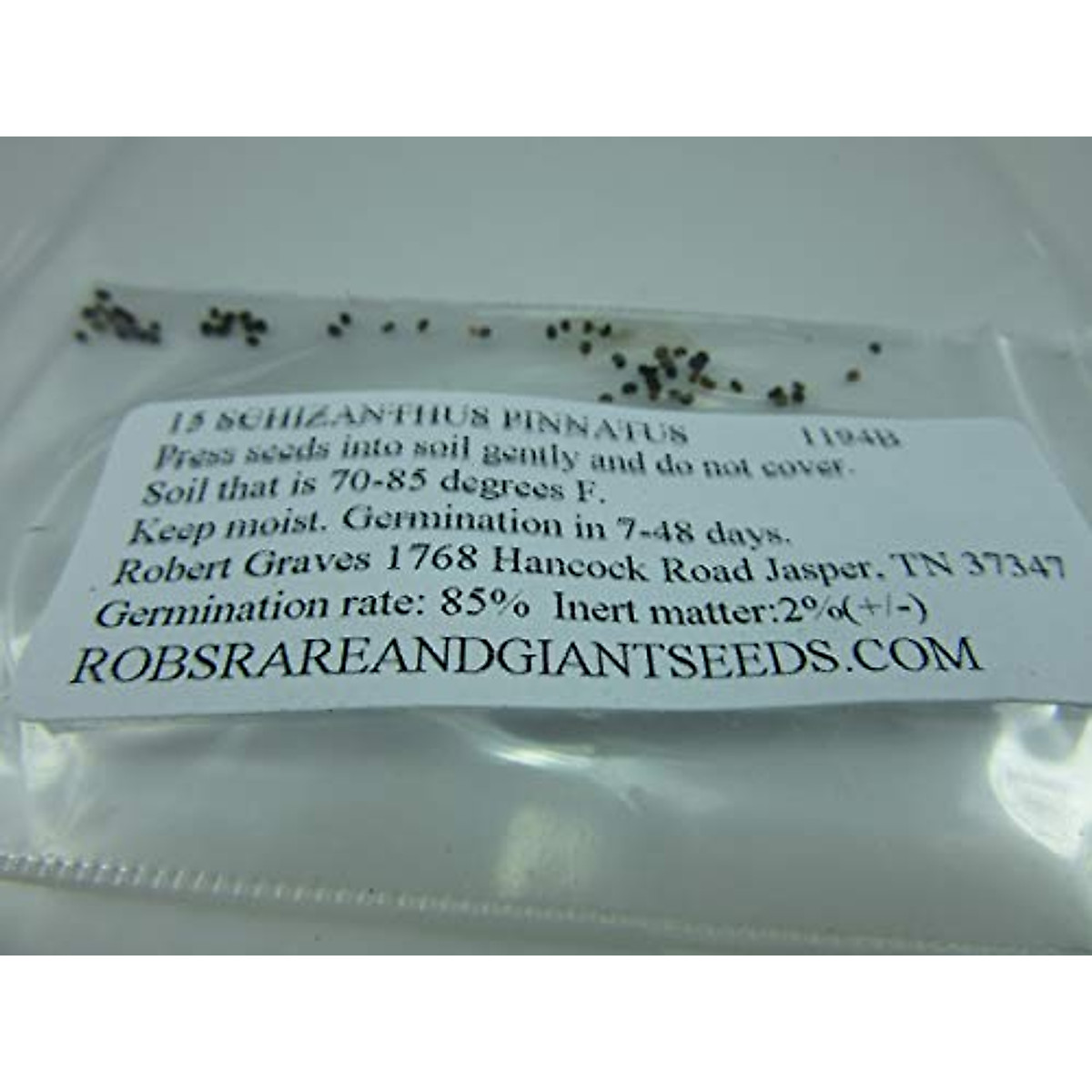 1194B-White Angels Poor Man's Orchid (Schizanthus pinnatus) Seeds by Robsrareandgiantseeds UPC0764425788430 Non-GMO,Organic,USA Grower,Bonsai,Showy, Butterfly Flower,1194-B Package of 15 Seeds