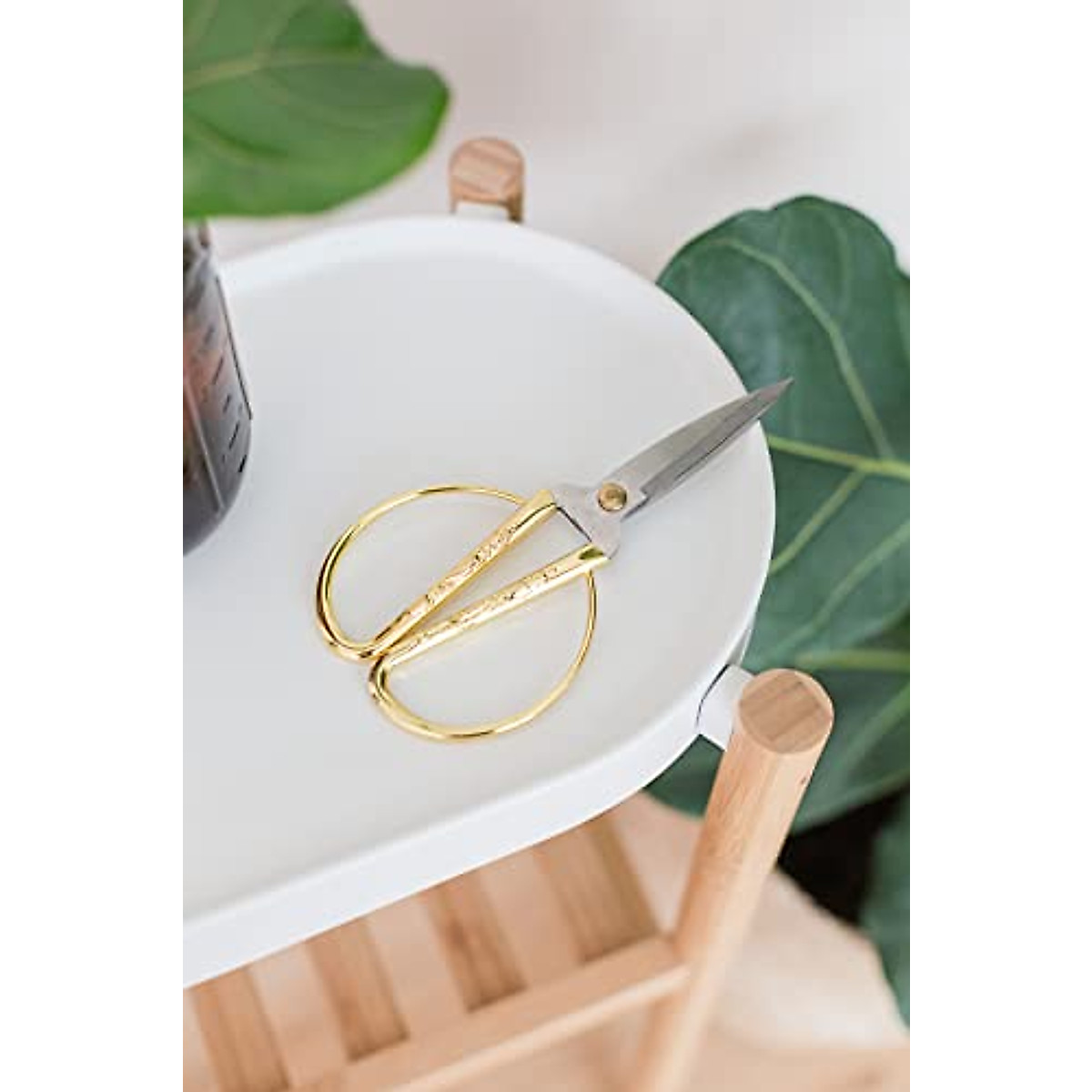 Premium Houseplant Scissors and Pruning Shears - Comfortable Grip Garden and Plant Clippers, Trimmers, Loppers, Flower Cutters, Made from 100% Stainless Steel