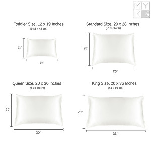 MYK 100% Pure Natural Mulberry Silk Pillowcase, 19 Momme with Cotton Underside for Sensitive Skin, Travel Size (12"x19"), Light Blue