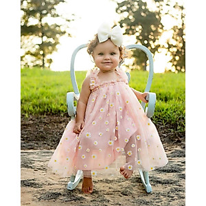 Toddler Baby Girl Tutu Dress Sleeveless Daisy Floral Layered Tulle Dress Kids Princess Birthday Party Beach Dresses (Pink Daisy, 6-12 Months)
