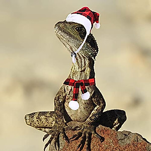 JOTFA 4 Pieces Christmas Bearded Dragon Costumes, Lizard Christmas Hats Bandanas Small Pet Christmas Costume for Bearded Dragon Lizard Chicks Parrot Hamster Guinea Pig Small Pet (Red, Plaid)