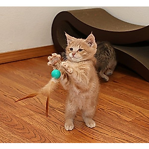 Bouncy Tails 5 Pack Interactive Bouncy Ball with Natural Feathers for Indoor Cats and Kittens who Love to Play and Have Fun.