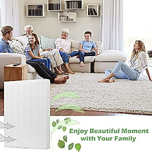 Goodsby 2 Pack Replacement H13 True HEPA Filters Pack for Coway Air Purifier AP1512HH AP-1512HH-FP AP-1518R AP-1519P and Airmega 200M, 2x True HEPA Filters and 8x Activated Carbon Pre Filters #3304899