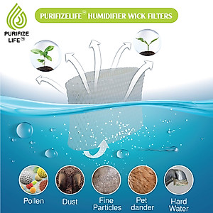 PURIFIZE LIFE Premium Replacement Wick Filter for Honeywell Humidifier HAC-504, HAC-504AW, HAC504, Filter A, HCM-350, HCM 350, HCM350W, HCM-315T, HCM-600, HCM-710 and Other Cool Mist Models (3 Pack)