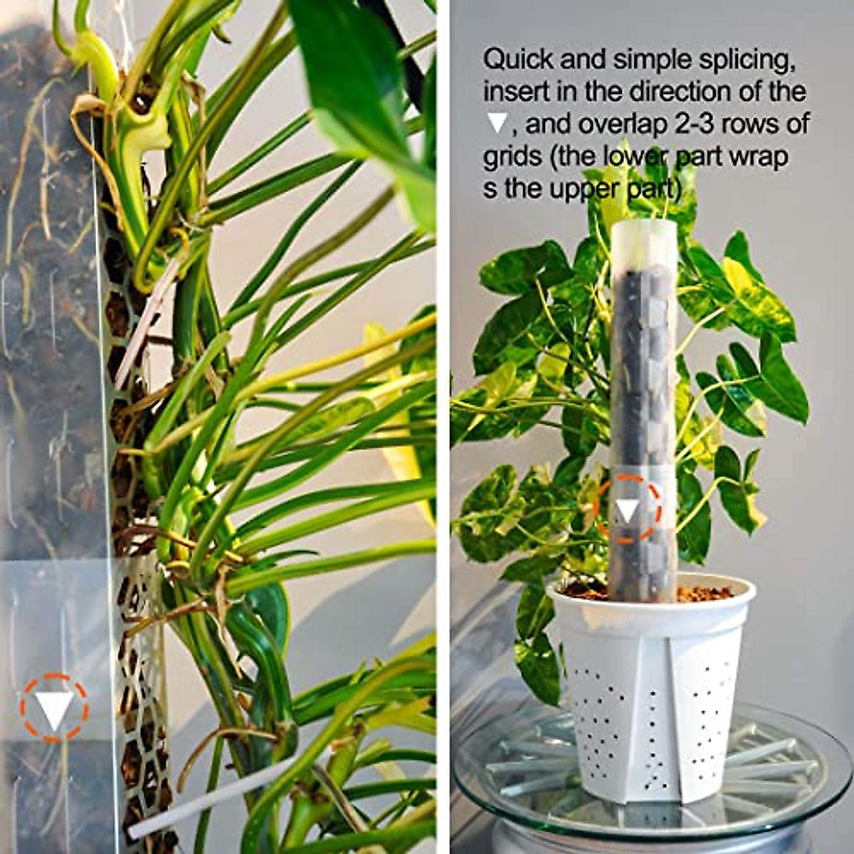 Haispring Plastic Moss Pole 4 Pcs Plant Stakes Extending to 62 Inch for Training Indoor Climbing Plants Such as Monstera to Grow Upwards-Use Plant Support Poles Work with Sphagnum Moss or Other soils
