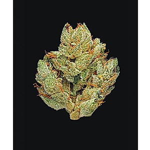 Green: A Field Guide to Marijuana: (Books about Marijuana, Guide to Cannabis, Weed Bible)