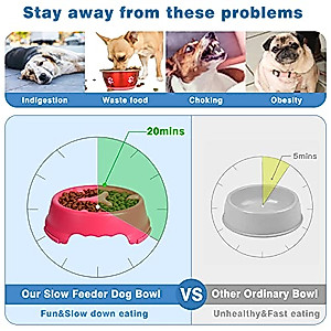 WESEN Dog/Cat Slow Feeder Bowl Insert, Slow Down Pet Eating, Soft Silicone Slow Feeding for Small Medium Size, Perfect with Stainless Steel Plastic Glass Ceramic Dog Bowls