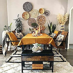 HUMINBO Pampas-Grass Pompous Dried Pampass Plants Fluffy Pompas Grasses 30 Stems Small Pompus Short