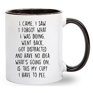 I Came I Saw I Forgot What I Was Doing Coffee Mug - Funny Senior Citizens Sarcastic Gifts Old People Elderly Mom Dad Grandma Grandpa - Presents Mothers Day Fathers Day Birthday - 11 oz Novelty Cup