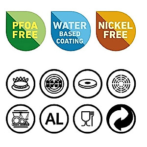 Flonal Pietra Viva Stone Effect Rectangular Baking Pan Aluminum, 9.84-inches, Clear