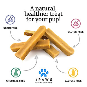4PAWS Himalayan Yak Cheese Dental Chews | 100% Natural Dog Chews | Lactose Free, Gluten Free | Long-Lasting Dog Treats (5 Small Chews)