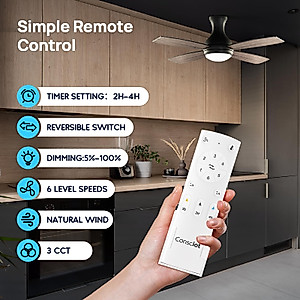 Consciot 52 Inch Ceiling Fan With Lights, Modern Black Ceiling Fan, Remote Control, Quiet Reversible DC Motor, Flush Mount, Dimmable 3CCT LED Light, Double Finish Blade, For Indoor Bedroom Living Room