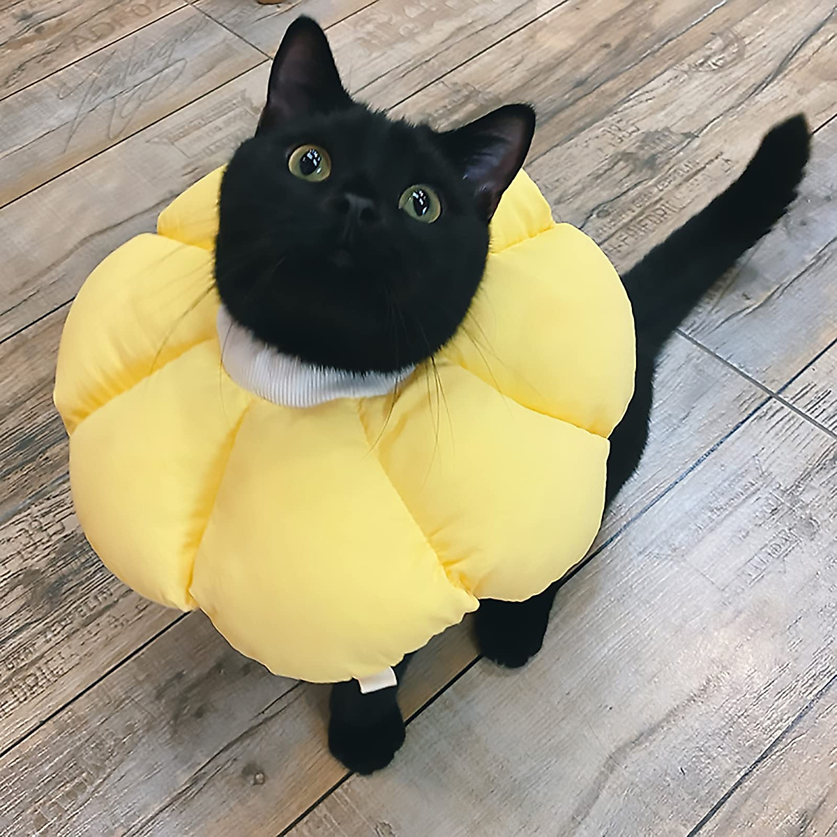 Cat Recovery Collar Soft Cute Waterproof Elizabethan Collar for Cats Cone Collar Protective Recovery kitten Collar for After Surgery to Prevent from Biting Scratching(ELC07-yellow-s)