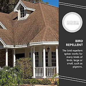 Cabilock Bird Spikes Stainless Steel Bird Blinder Bird Repellent Deterrent Spikes for Pigeons Birds