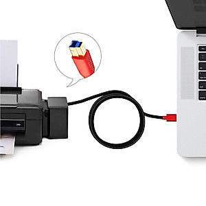 Tan QY USB 3.0 Cable A Male to B Male 20Ft, Type A to B Male Compatible with Hard Disk Drive,Printers,Scanner,USB Hub,Monitor and More (6m/20Ft)