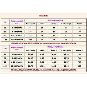 Rarjuiey 3Pcs Newborn Baby Boy Girl Elephant Outfits Long Sleeve Little Peanut Romper Bodysuit+Pants+Hat