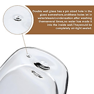 Aurzen 2 Pack Double Walled Glass Coffee Mugs with Handles, Large Insulated Layer Coffee Cups, 15oz Clear Borosilicate Mugs, Perfect for Cappuccino, Tea, Microwave Safe