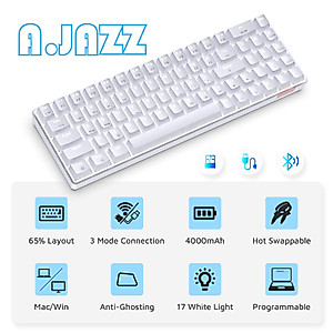 A.JAZZ AK692 Compact Hot-Swappable Wireless Number Pad Mechanical Gaming Keyboard 5.0 Bluetooth Type C Wired Mode 4000 mAh Rechargable Light up for Mac Laptop IP ad PC Phone PS4 Gamer Office - White