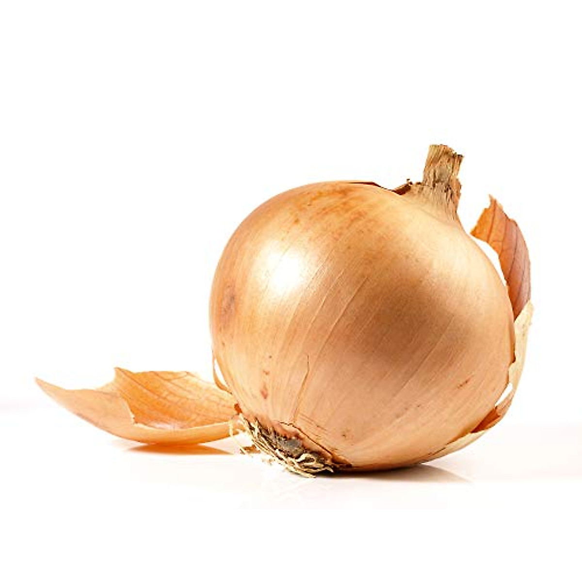 Walla Walla Sweet Spanish Onion Seeds for Planting, 300+ Seeds Per Packet, (Isla's Garden Seeds), Non GMO Seeds, Botanical Name: Allium cepa, Great Home Garden Gift