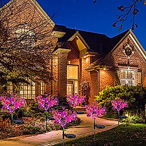 Neporal Solar Lights Outdoor Garden Decorative, 4 Pack Solar Powered Phalaenopsis Flower Lights Design, Solar Light Outdoor Waterproof IP65, Solar Garden Decorations - Gardening Gifts for Women