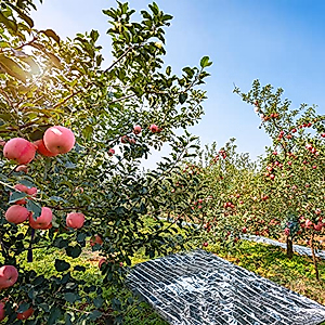 Plant Growth Mylar Films High Reflective Mylar Film Garden Greenhouse Covering Foil Sheets for First Aid Blanket Growth Room Camping Simple Tent,82.6 x 51.2 Inch(2 Pieces)